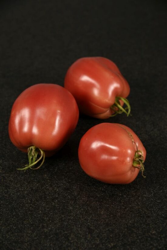 Ceman – Die GenussJäger